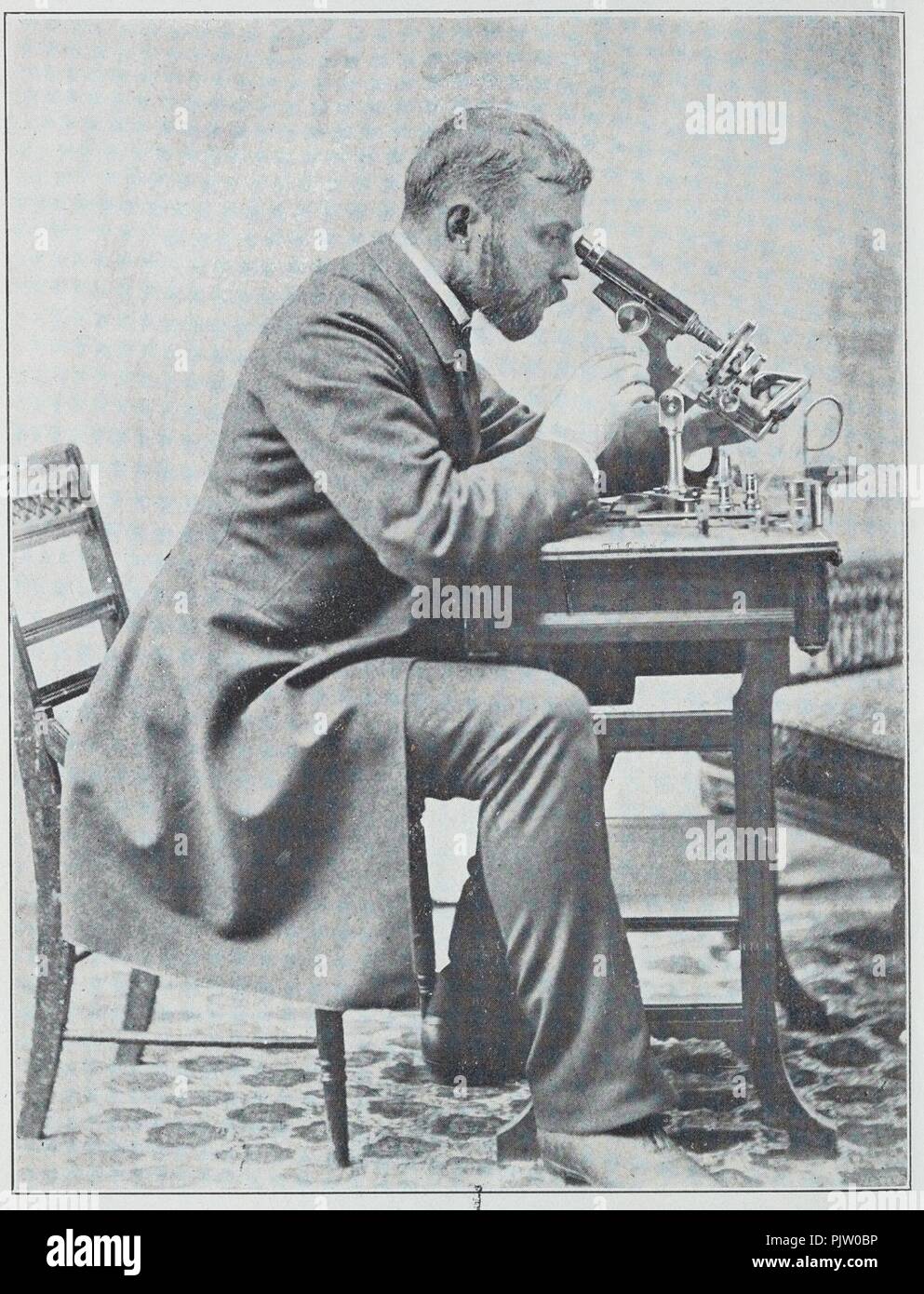 Bayard Taylor Holmes Stock Photo - Alamy