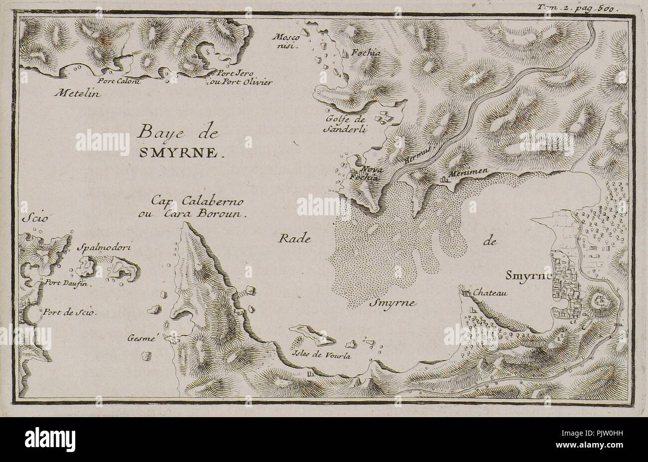 Tournefort hi-res stock photography and images - Alamy