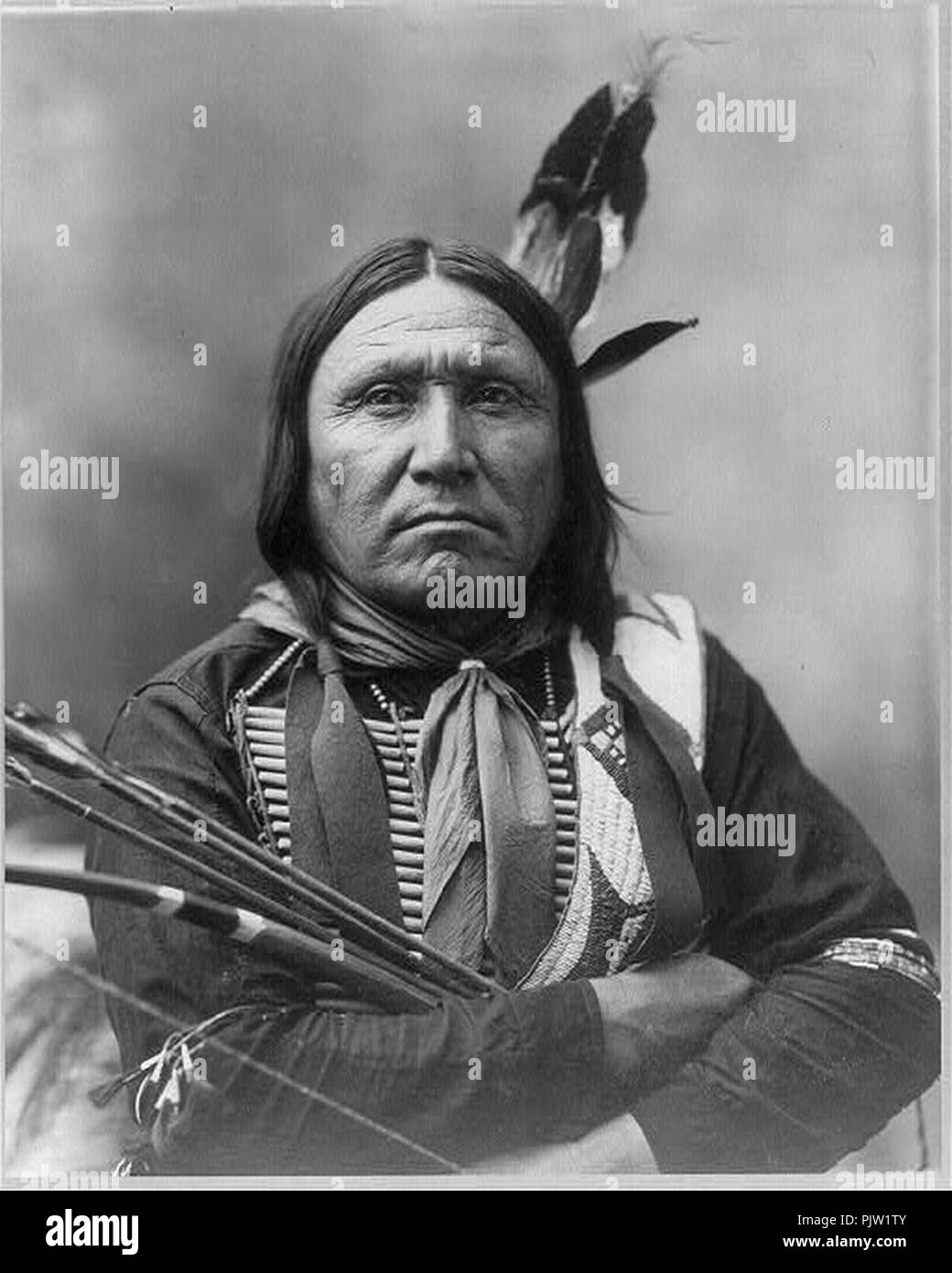 Classic bear Black and White Stock Photos & Images - Alamy