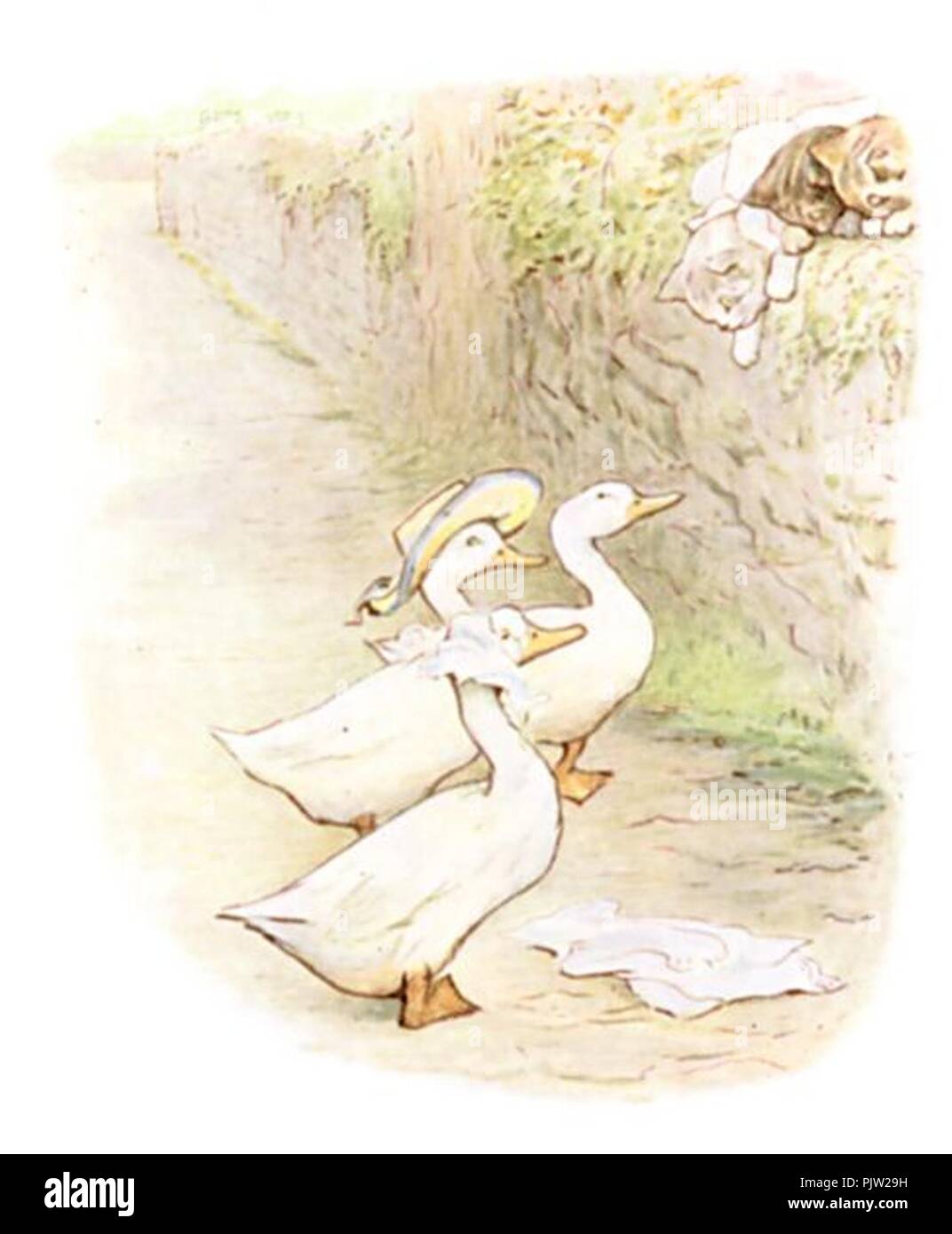 Beatrix potter illustration Cut Out Stock Images & Pictures - Alamy