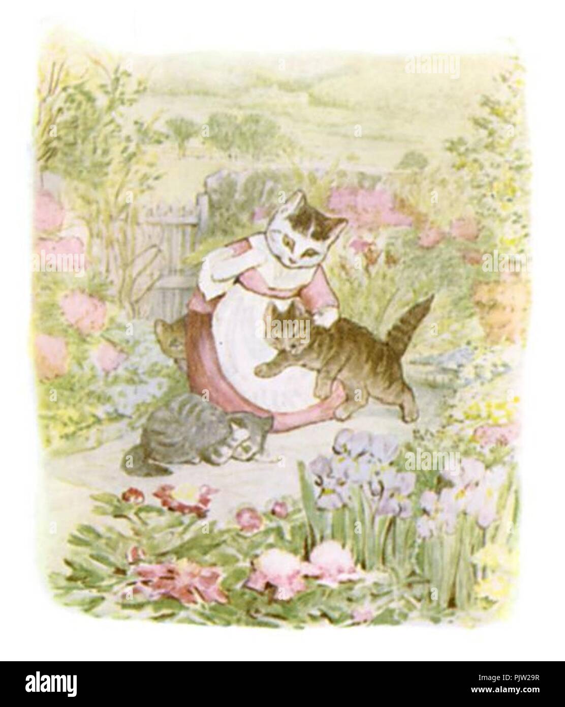 Beatrix Potter Kitten