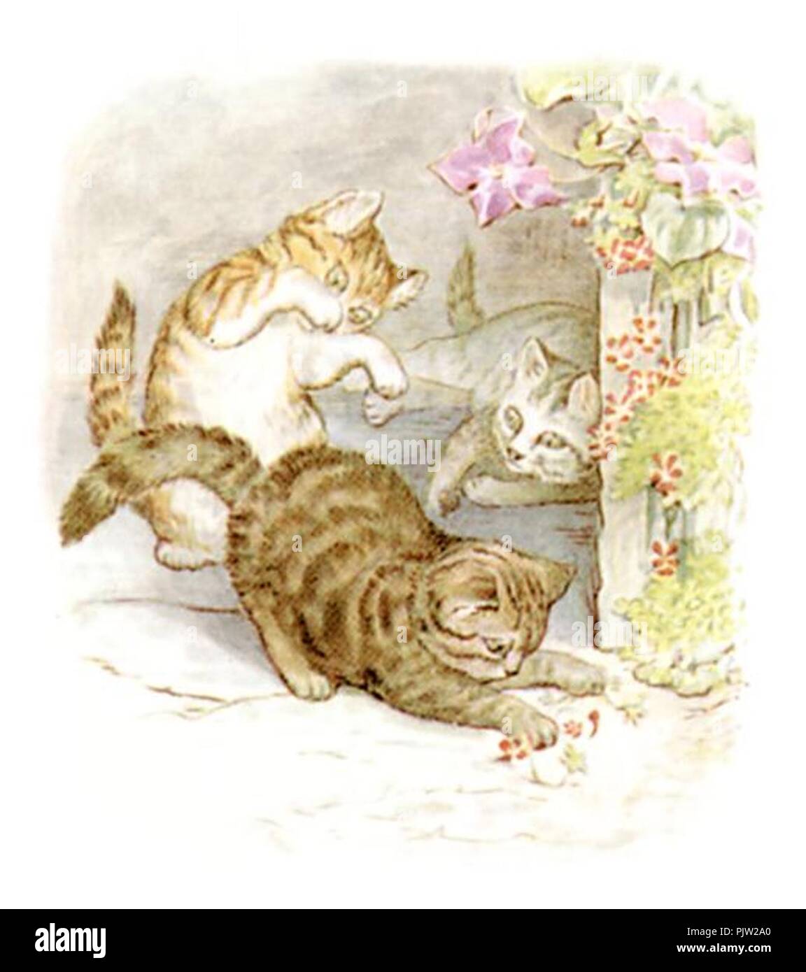Beatrix Potter - The Tale of Tom Kitten - Illustration from p 8 Stock ...