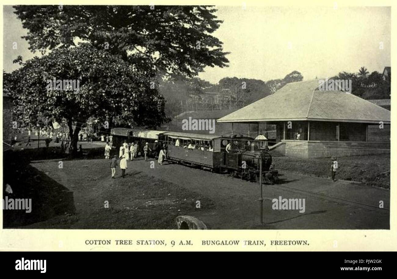 Cotton tree and freetown hi-res stock photography and images - Alamy