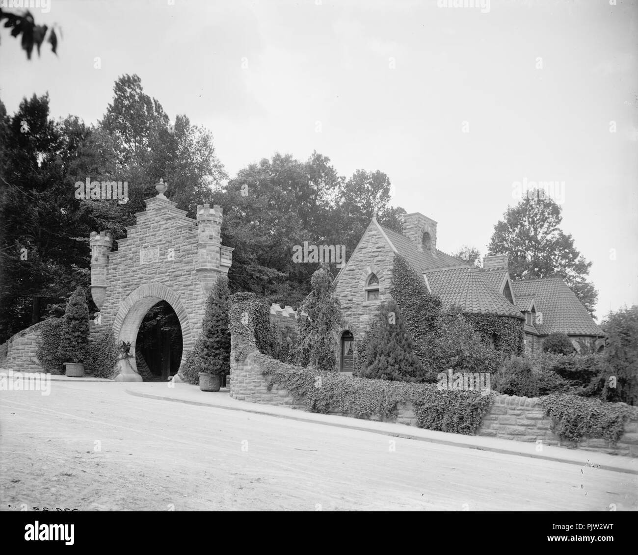 Picture beaver Black and White Stock Photos & Images - Alamy
