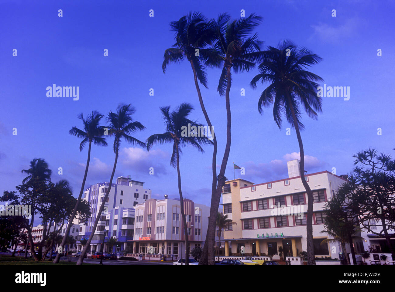 1992 HISTORICAL PALM TREES OCEAN DRIVE SOUTH BEACH MIAMI BEACH FLORIDA ...