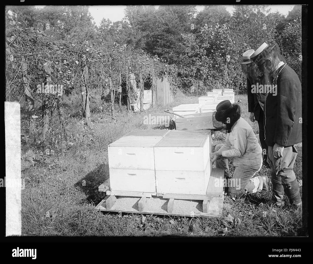 10 story Black and White Stock Photos & Images - Alamy