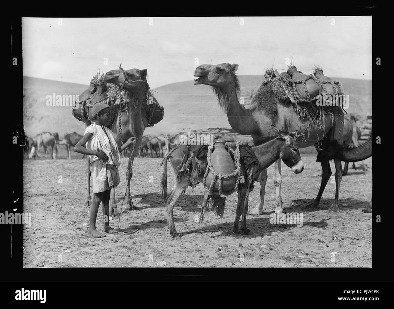 Beersheba and surroundings. (Beer Saba). Carrying water to the camp ...