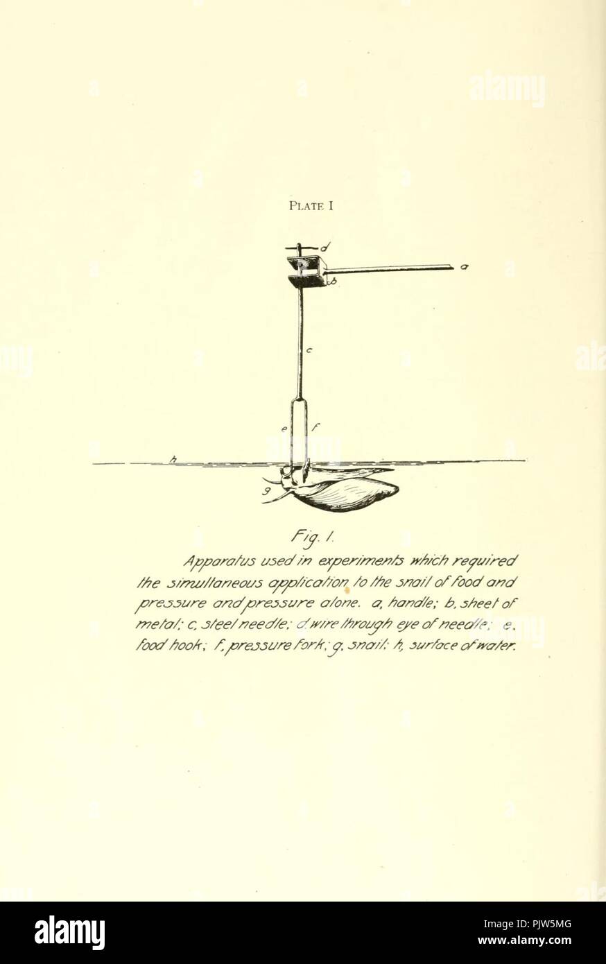 Historical monographs hi-res stock photography and images - Alamy