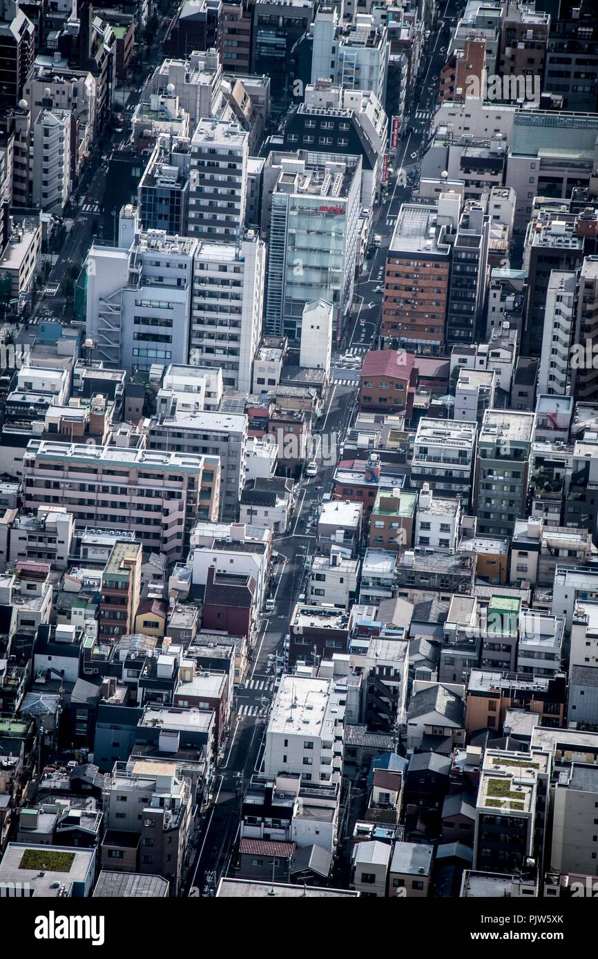 Tokyo Sky Tree Views, Tokyo, Japan Tokyo Sky Tree Views, Tokyo, Japan ...