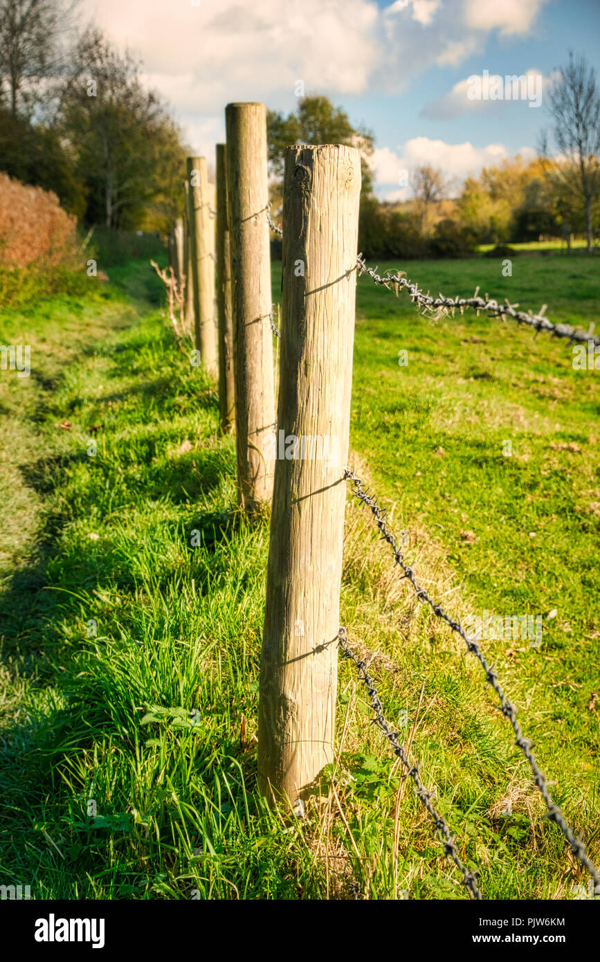 Fence Surrounding Trees High Resolution Stock Photography and Images ...