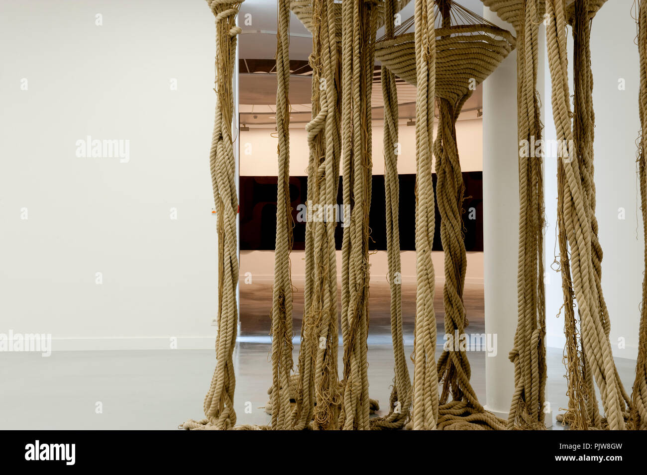 Inside the newly renovated MHKA, Museum of Contemporary Art, in Antwerp ...