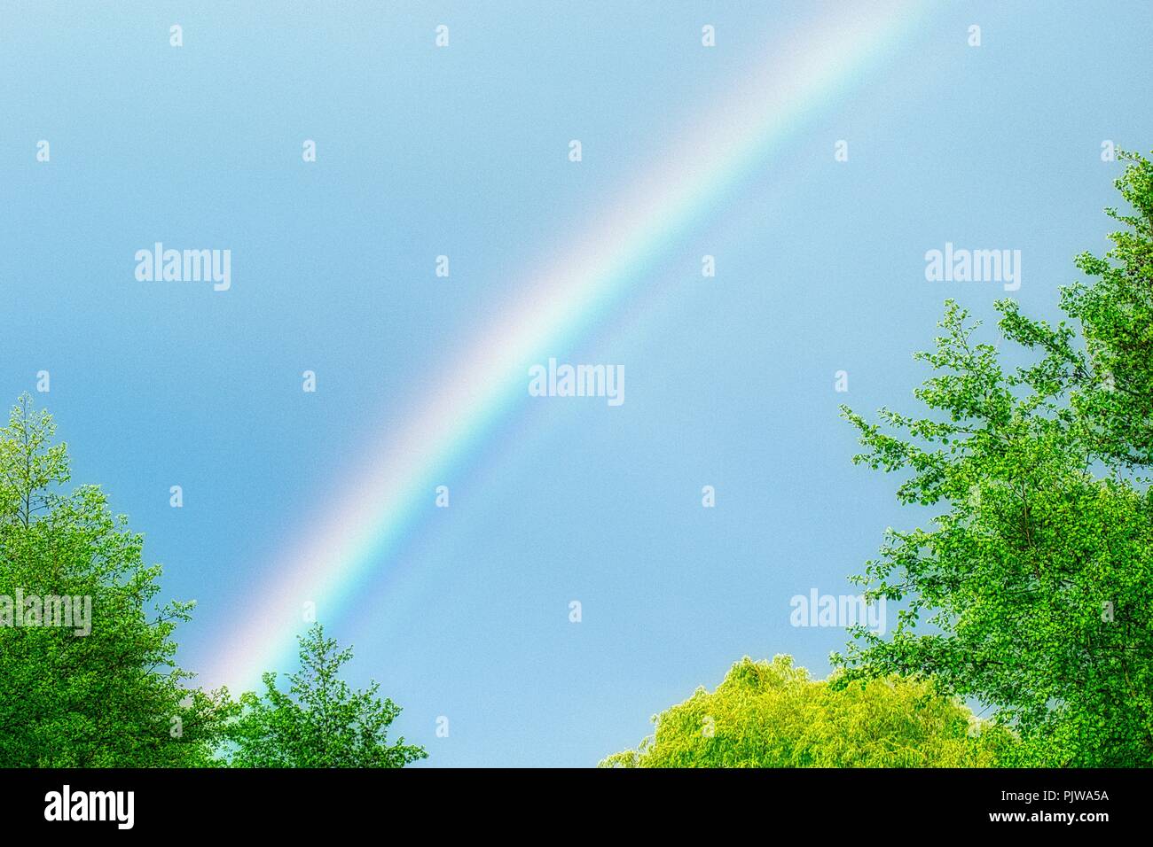 The Real End Of A Rainbow