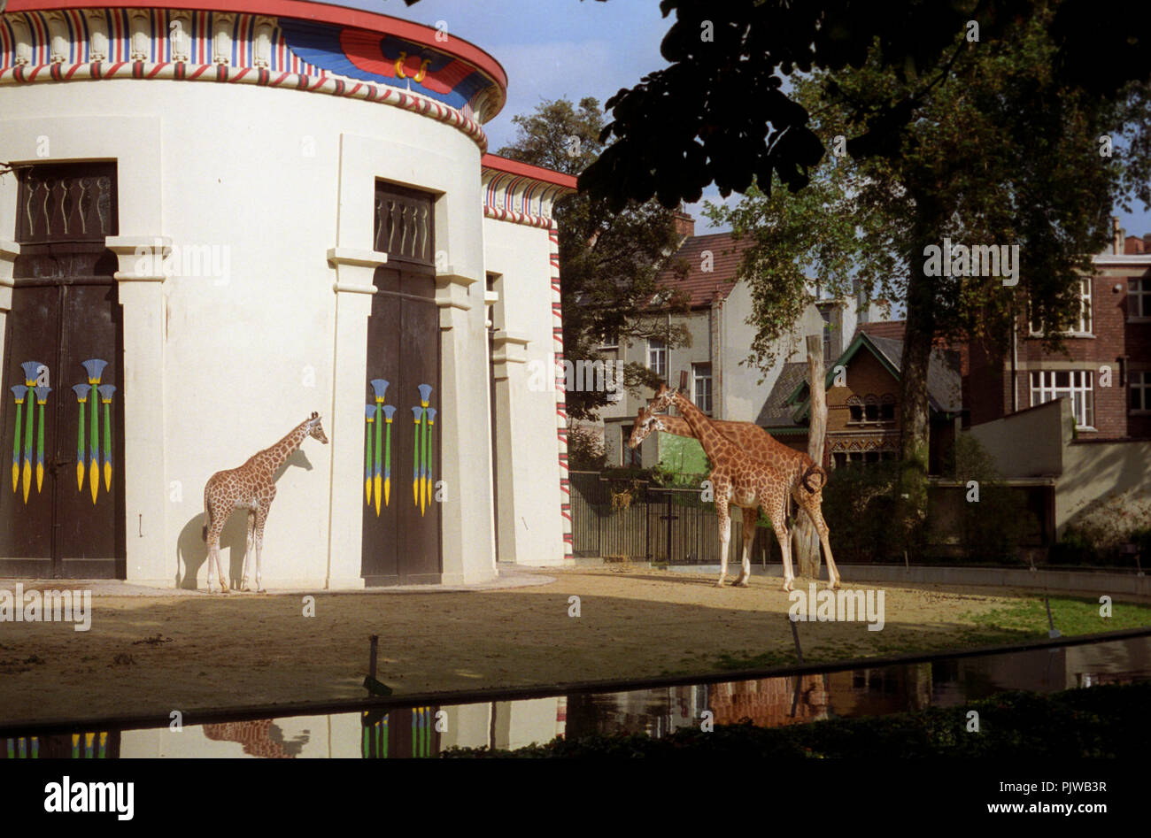 The Antwerp Zoo in the nineties (Belgium, 10/1992 Stock Photo - Alamy