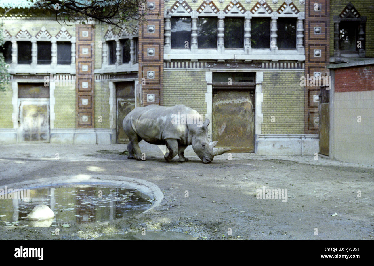 Animals nineties hi-res stock photography and images - Alamy