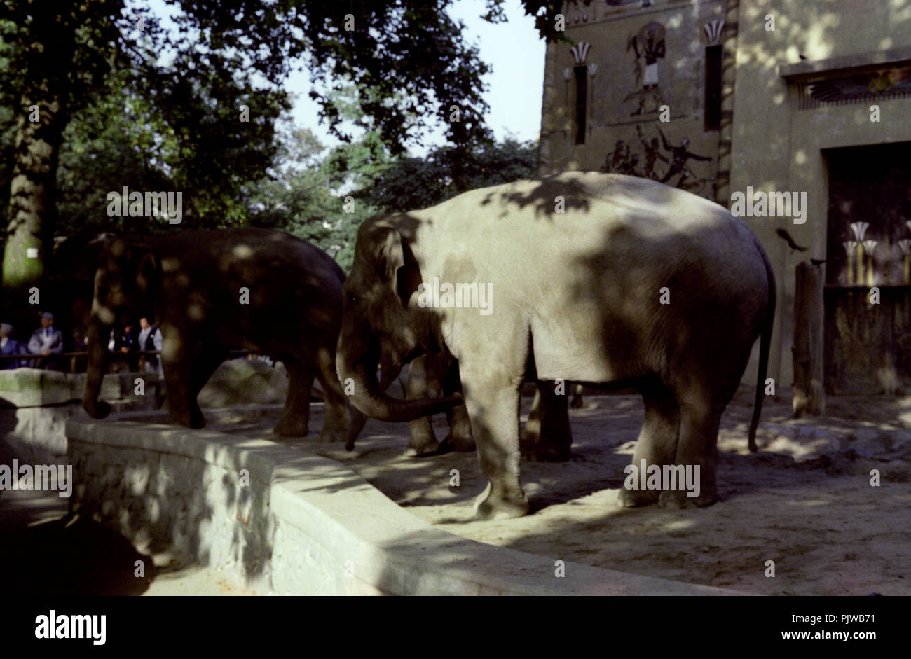The Antwerp Zoo in 1986 (Belgium, 1986 Stock Photo - Alamy
