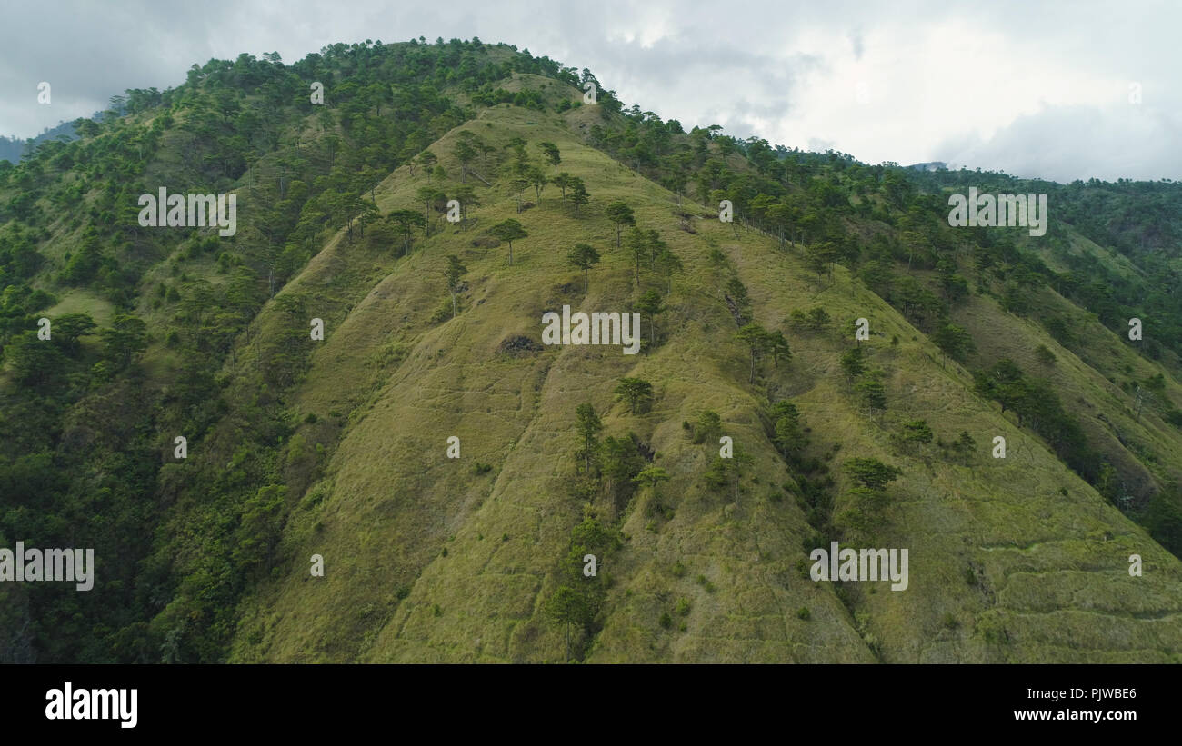 Aerial view of mountains covered forest, trees against the sky and ...