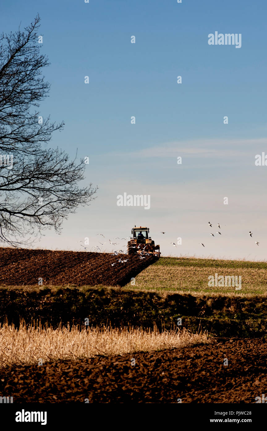 Farmer ploughing the land hi-res stock photography and images - Alamy