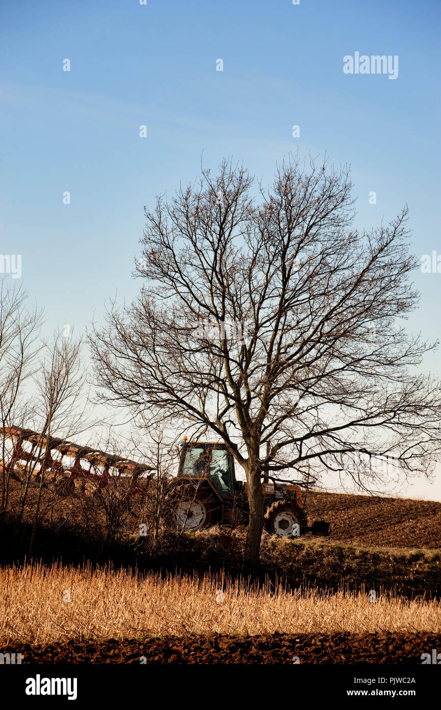 A farmer ploughing his land in Bierbeek (Belgium, 07/02/2011 Stock ...