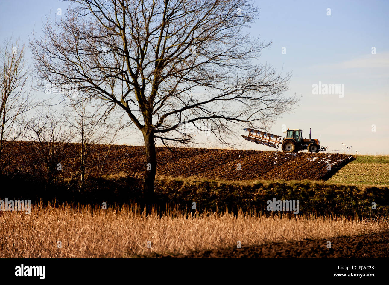 Brabant plough hi-res stock photography and images - Alamy