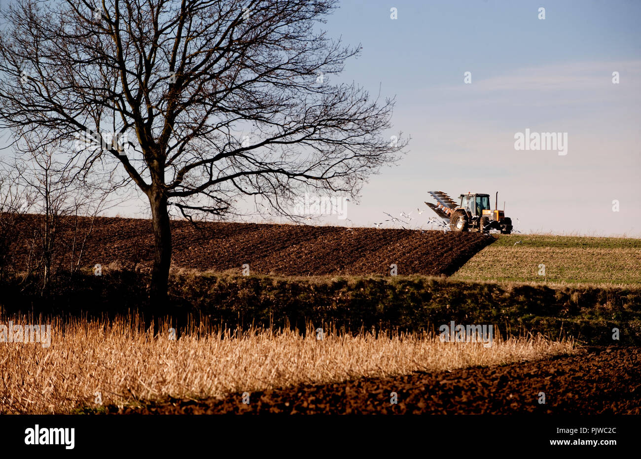 Farmer ploughing the land hi-res stock photography and images - Alamy