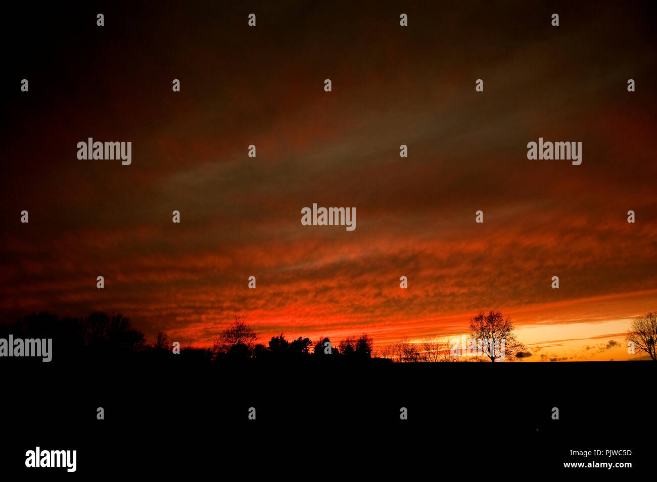 Over Flanders Fields High Resolution Stock Photography and Images - Alamy