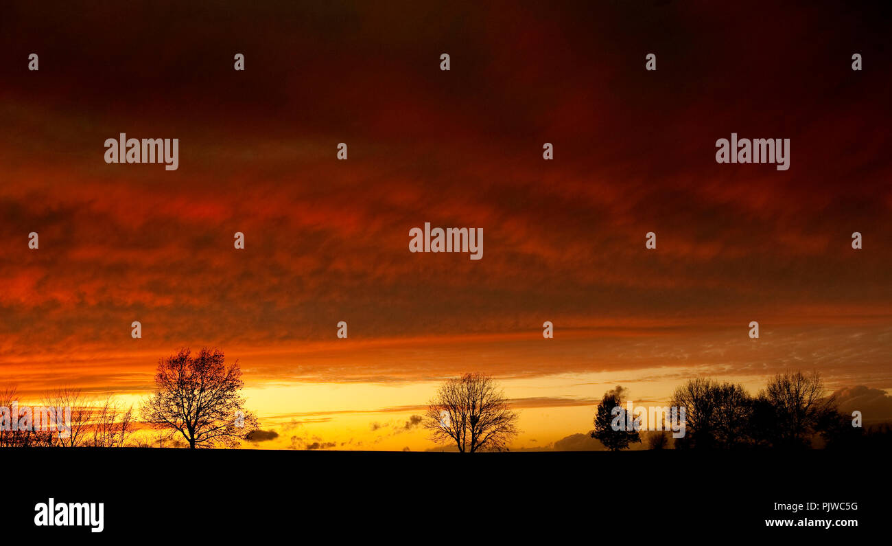 Over flanders fields hi-res stock photography and images - Alamy