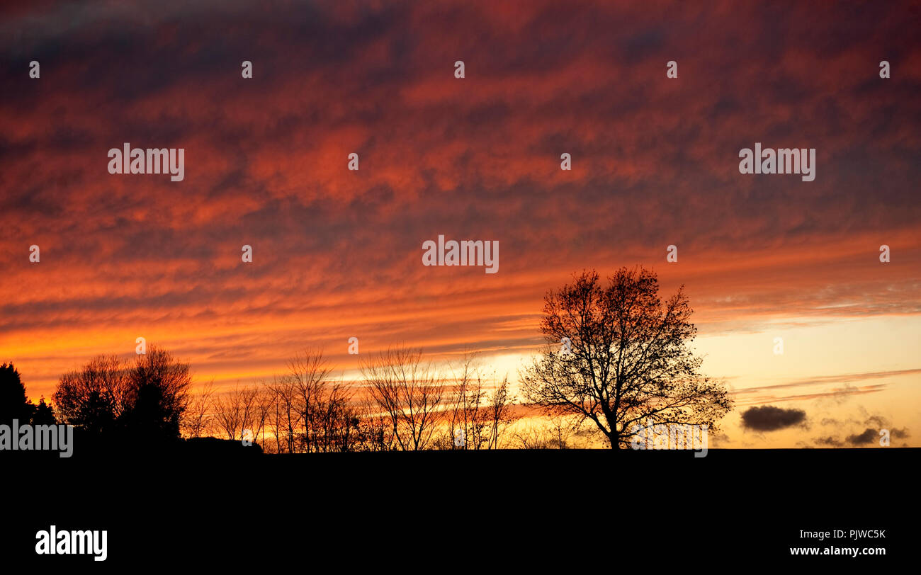 Over flanders fields hi-res stock photography and images - Alamy