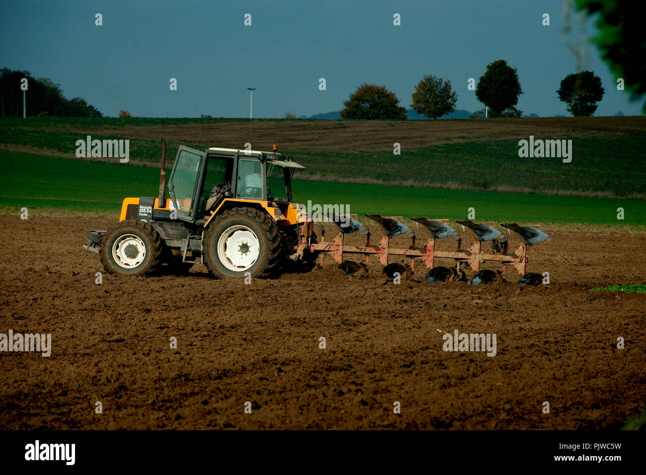 Brabant plough hi-res stock photography and images - Alamy