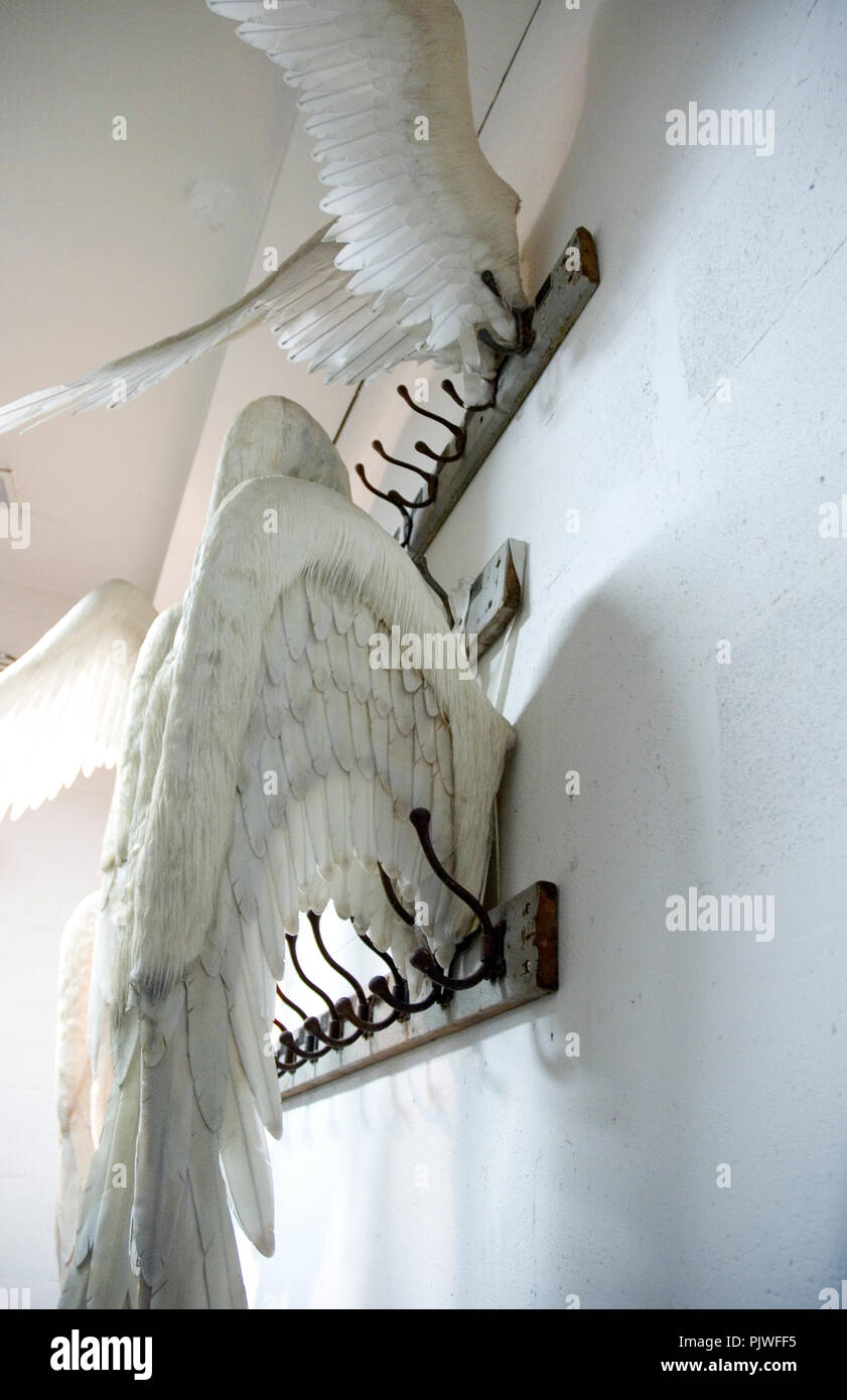 the costume workroom of the La Monnaie Brussels Opera house (Belgium ...