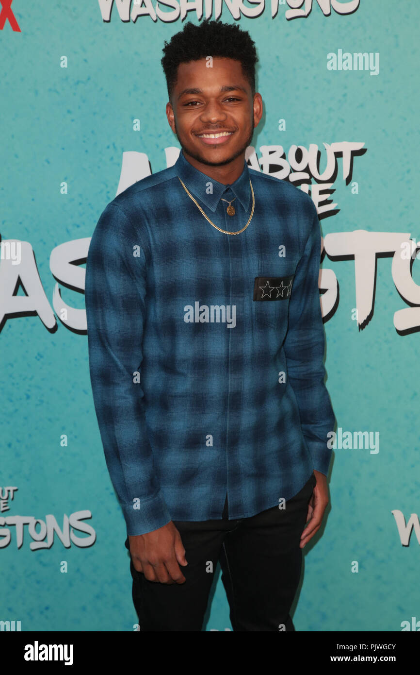Celebrities attend Netflix's All About the Washingtons Season One ...