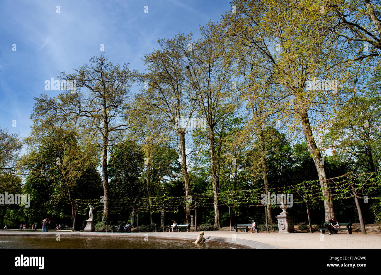 Parc de warande hi-res stock photography and images - Alamy