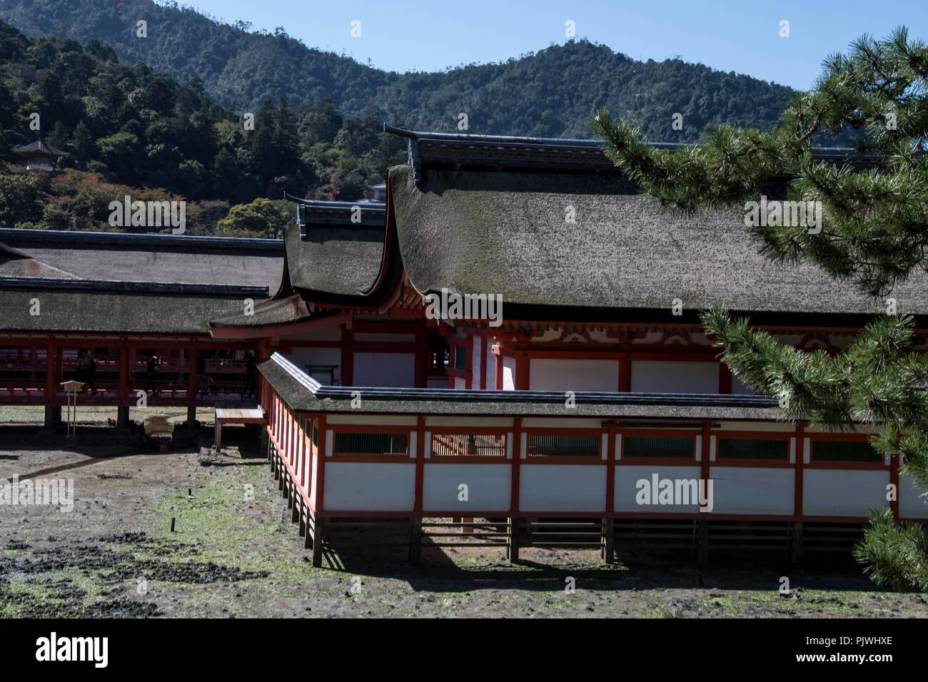 Stock Photo - Miyajima Shrine, Itsukushima Island, Hiroshima, Japan ...