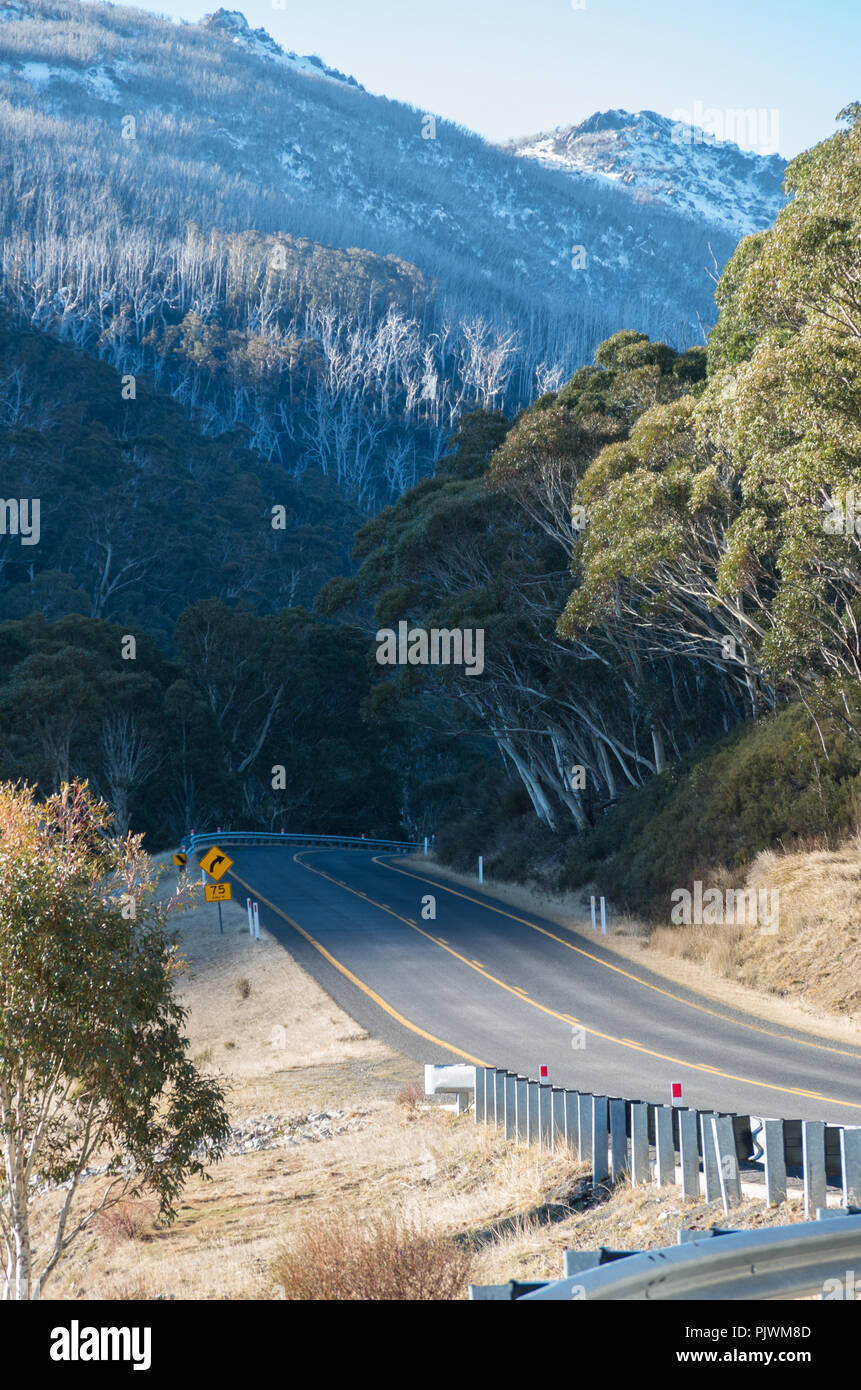Alpine way driving towards Jindabyne in the snowy mountains, Australia ...