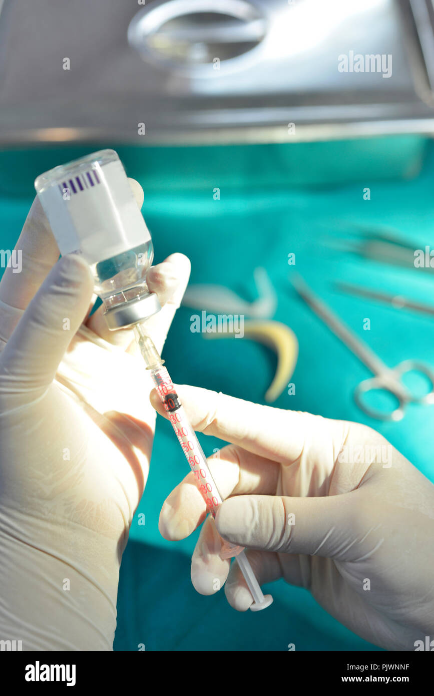 Hand holding syringe and medicine vial prepare for injection with ...