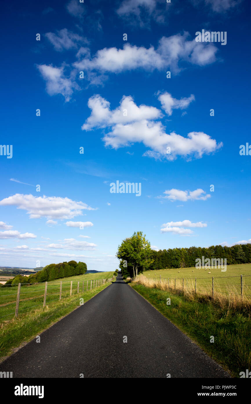 Country lane through vegetation hi-res stock photography and images - Alamy