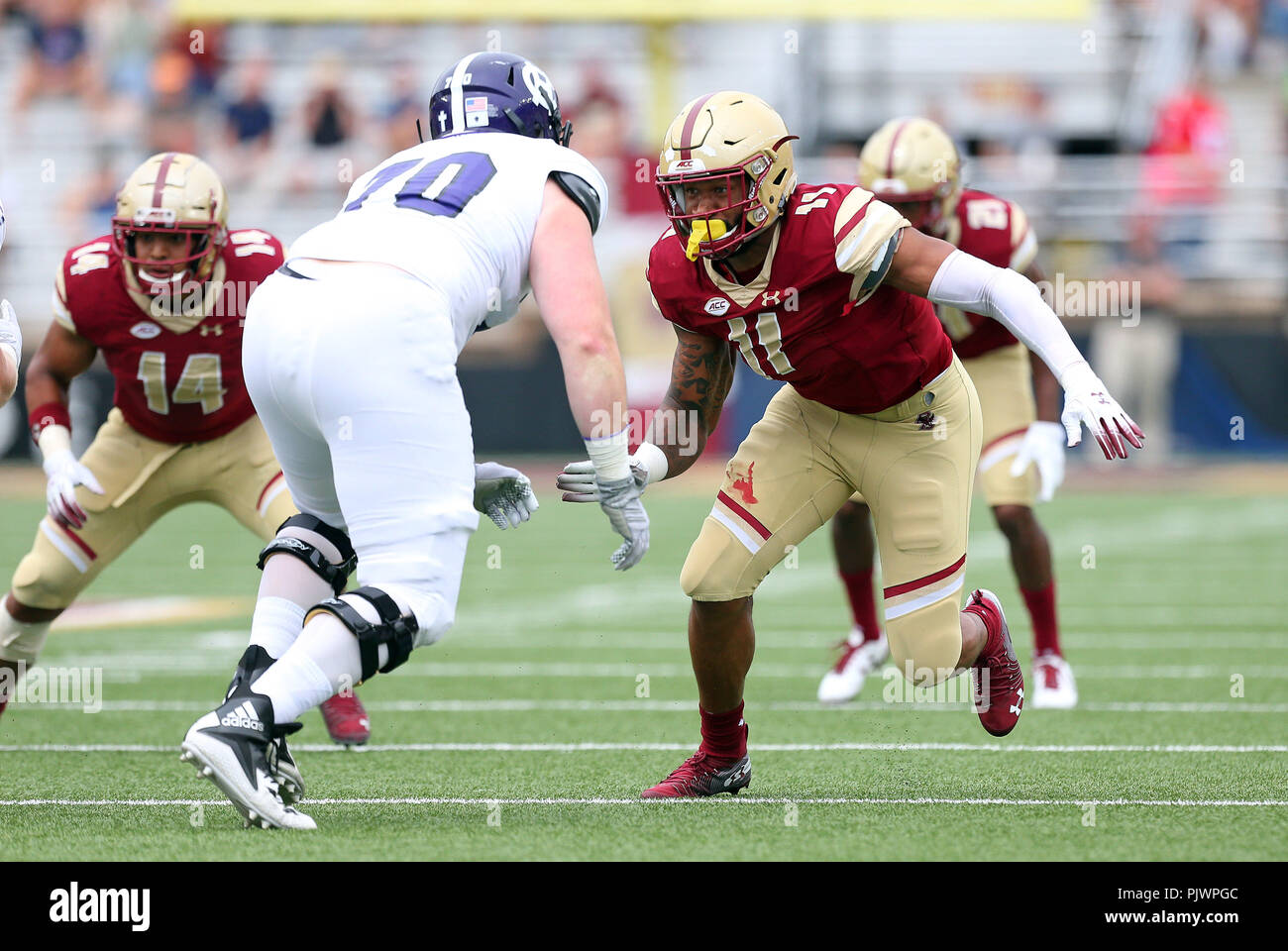 Wyatt ray hi-res stock photography and images - Alamy