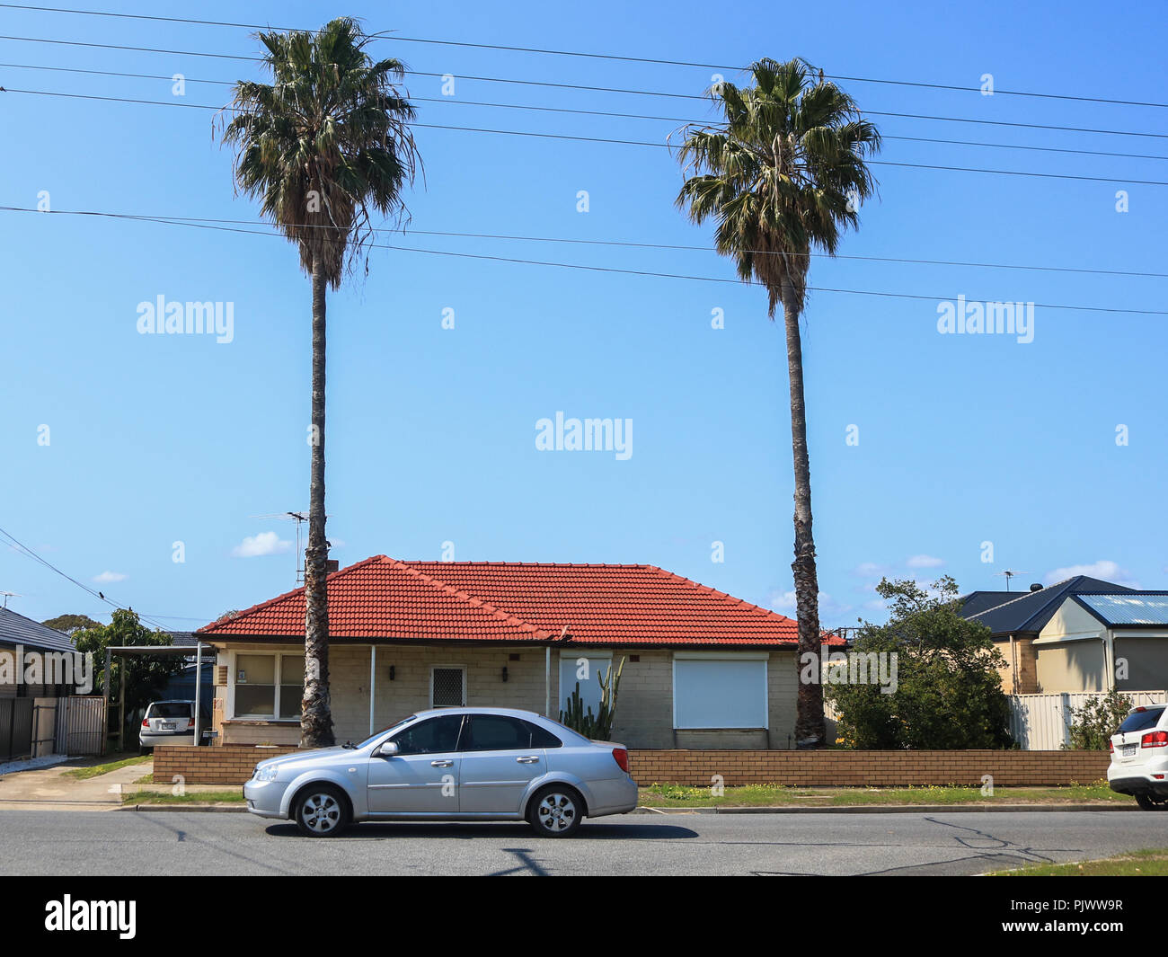 Adelaide Australia. 9th September 2018. Palm Trees bathed in sunshine ...