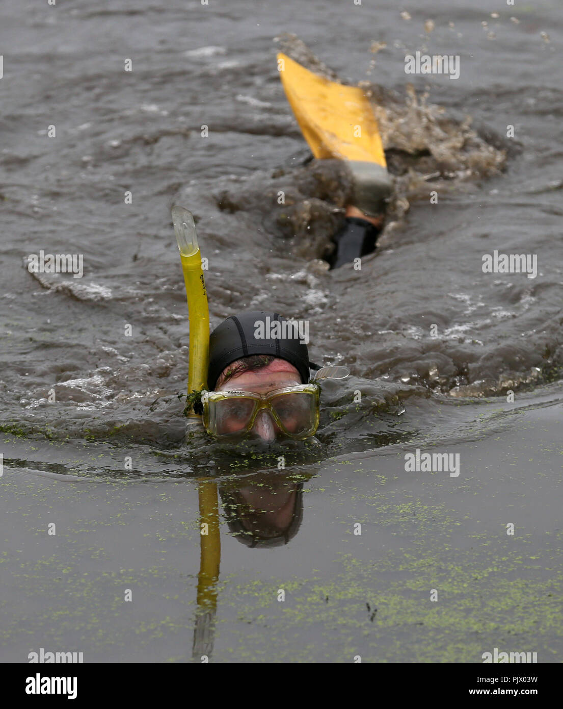 Bog snorkelling 2018 hi-res stock photography and images - Alamy