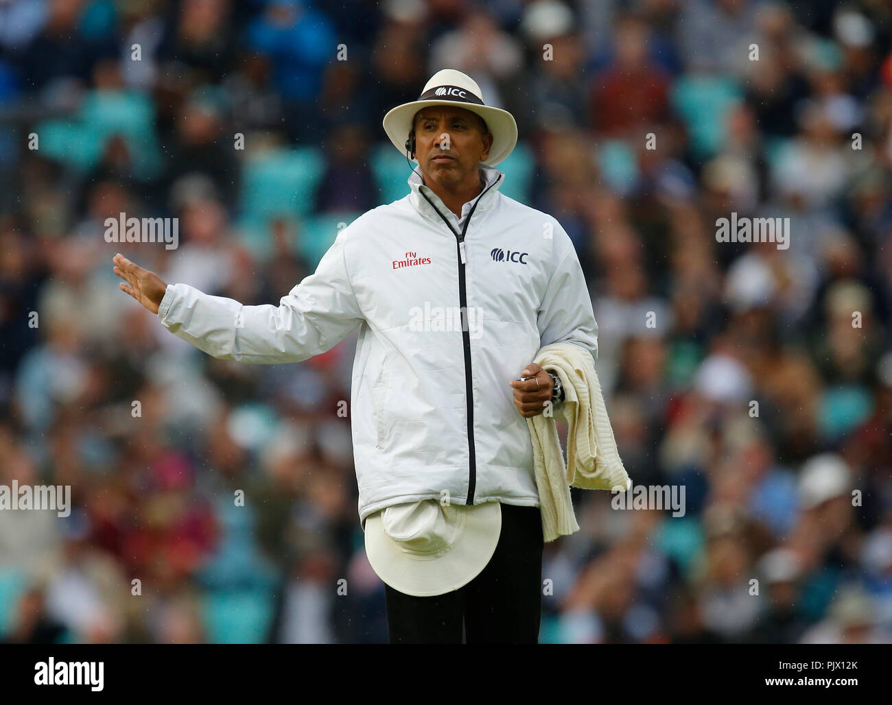 Cricket umpire signals hi-res stock photography and images - Alamy