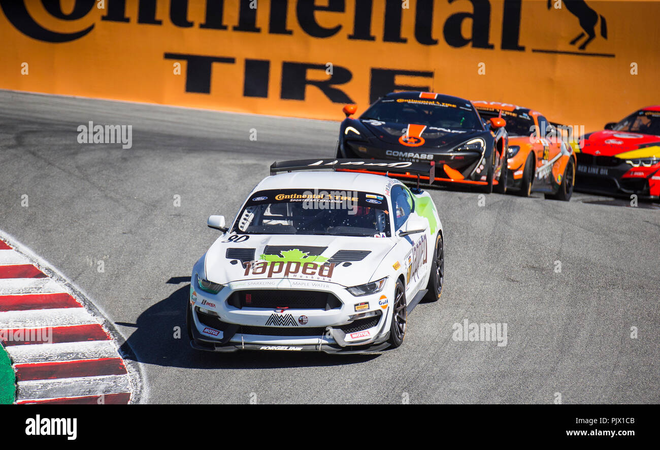 Monterey, CA, USA. 08th Sep, 2018. A.# 80 Drivers Martin Barley/Brett ...