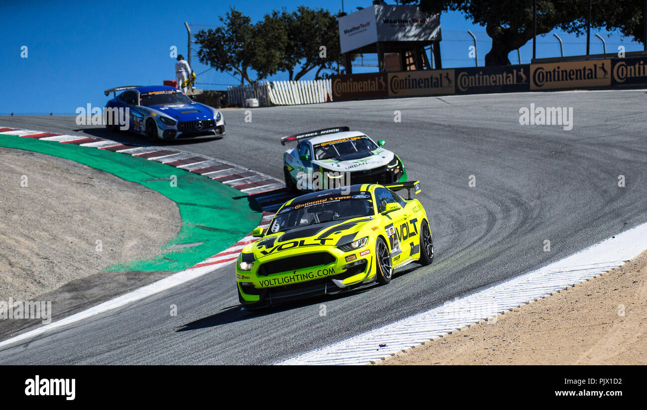 Trent hindman hi-res stock photography and images - Alamy