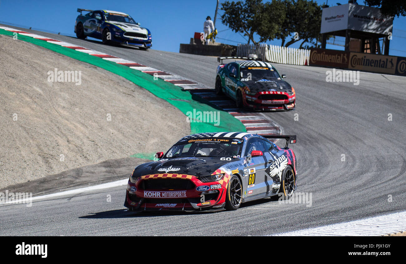 James stacy hi-res stock photography and images - Alamy