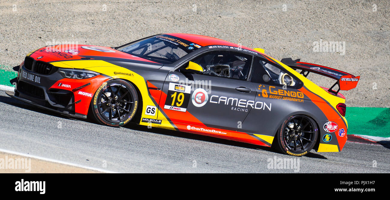 Monterey, CA, USA. 08th Sep, 2018. A. # 19 Drivers Greg Liefooghe/Ari ...