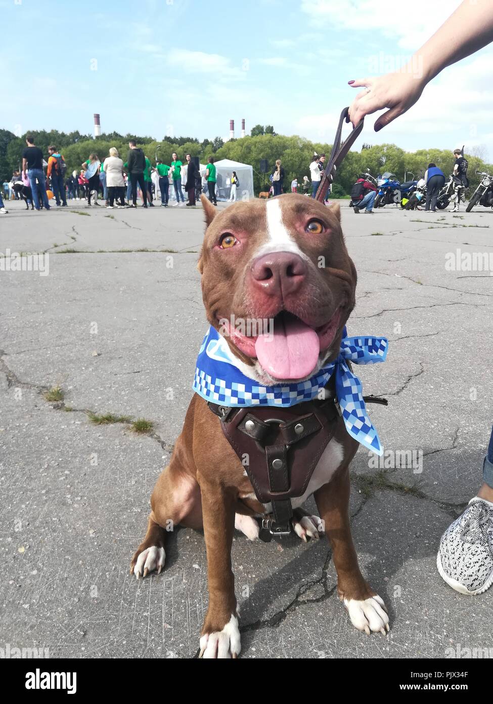 St.Petersburg, Russia. 9th September 2018. Costume Parade at the Pit ...