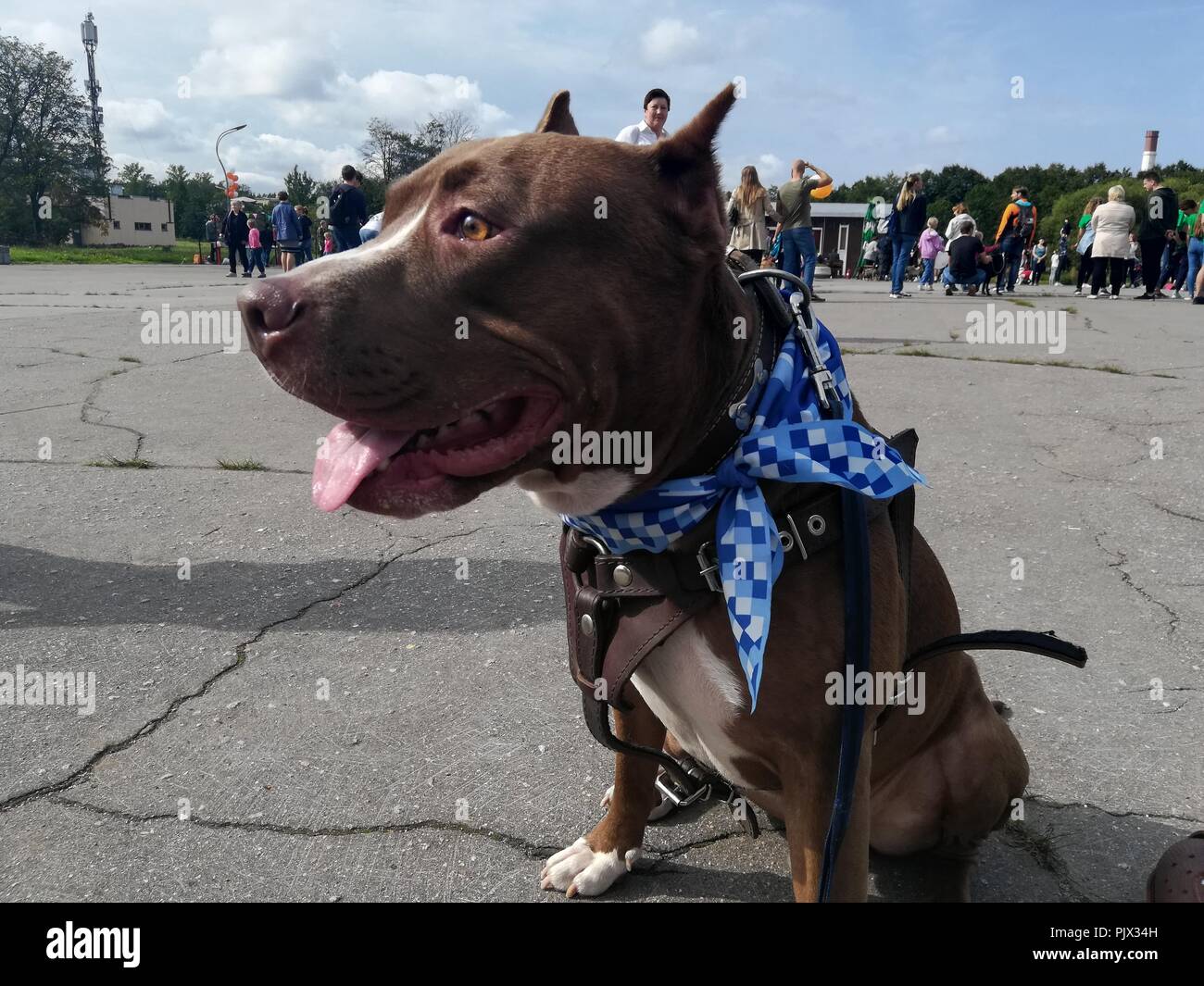 St.Petersburg, Russia. 9th September 2018. Costume Parade at the Pit ...