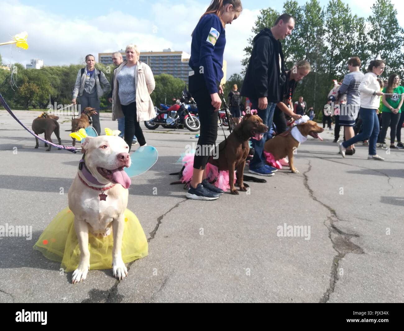 St.Petersburg, Russia. 9th September 2018. Costume Parade at the Pit ...