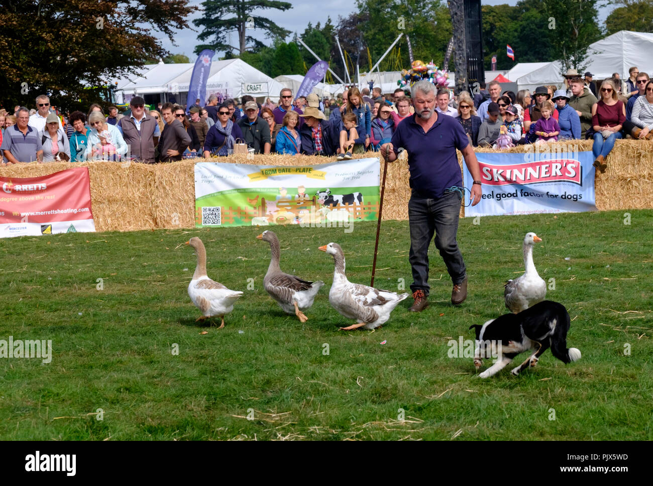 Frampton Country Fair High Resolution Stock Photography and Images - Alamy