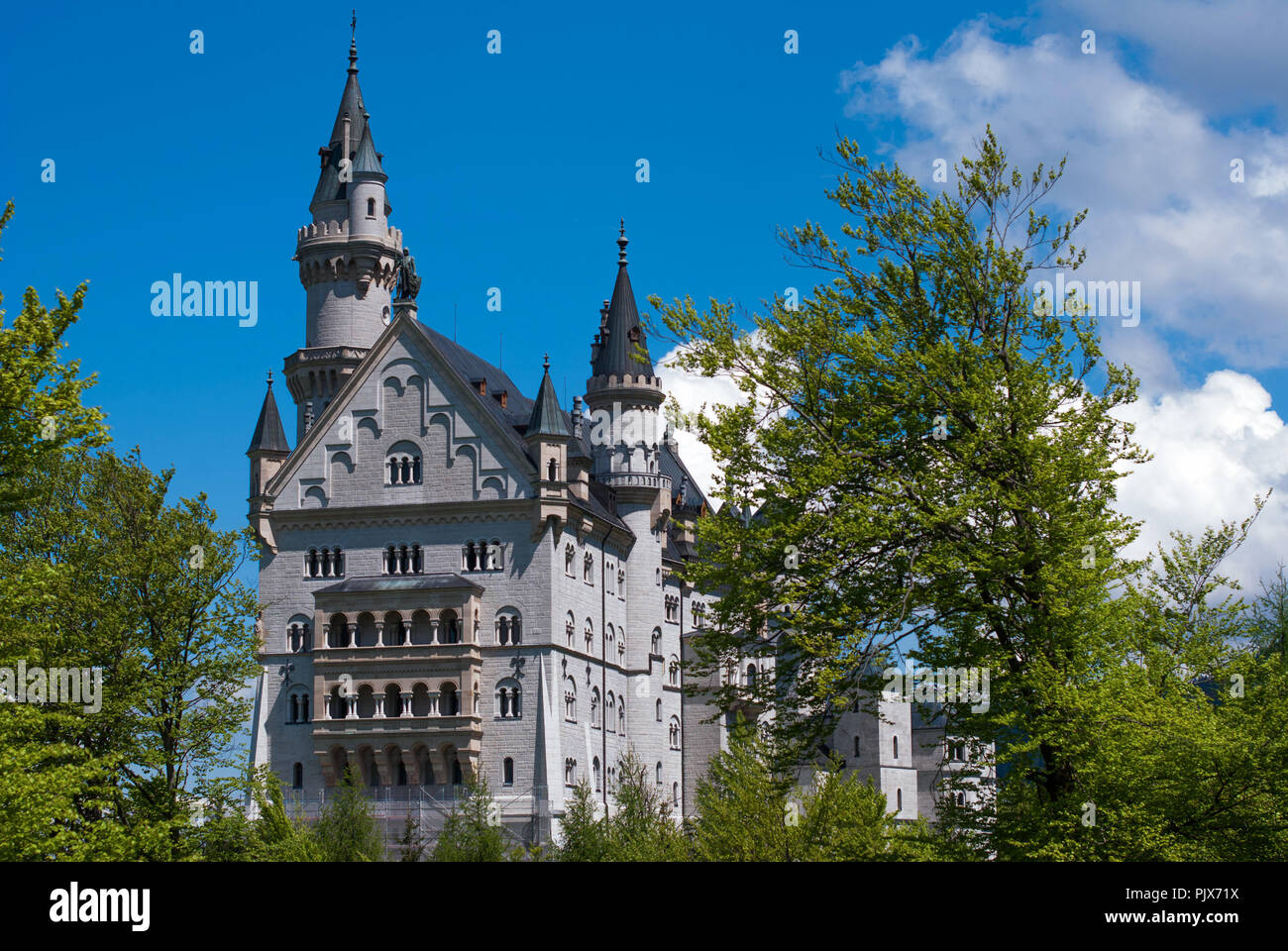 Neuschwanstein Castle in the Bavarian Alps of Germany Stock Photo - Alamy