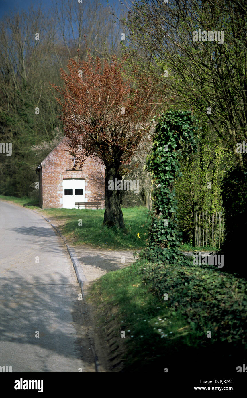 the Bosberg hill near Geraardsbergen and Galmaarden (Belgium, 12/04 ...