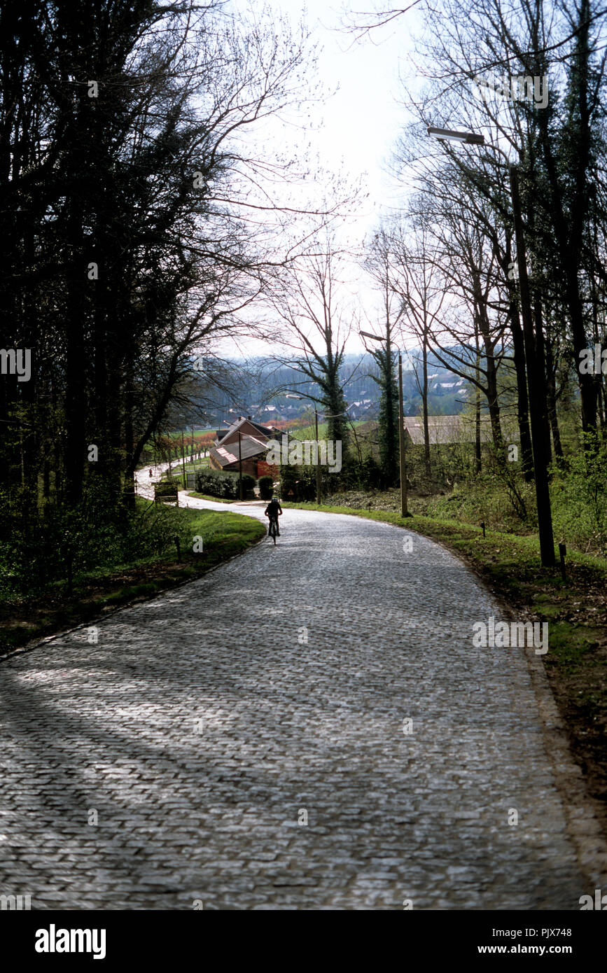 the Bosberg hill near Geraardsbergen and Galmaarden (Belgium, 12/04 ...